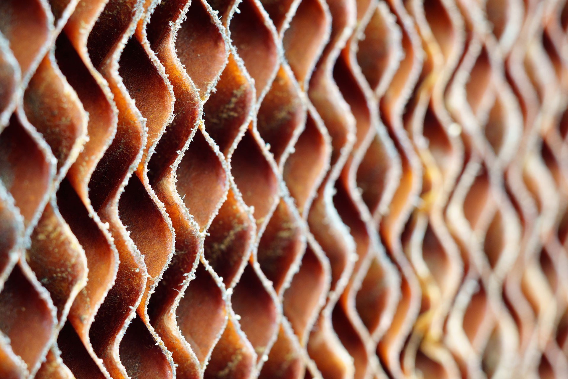 Paper Cell – Paper Cell